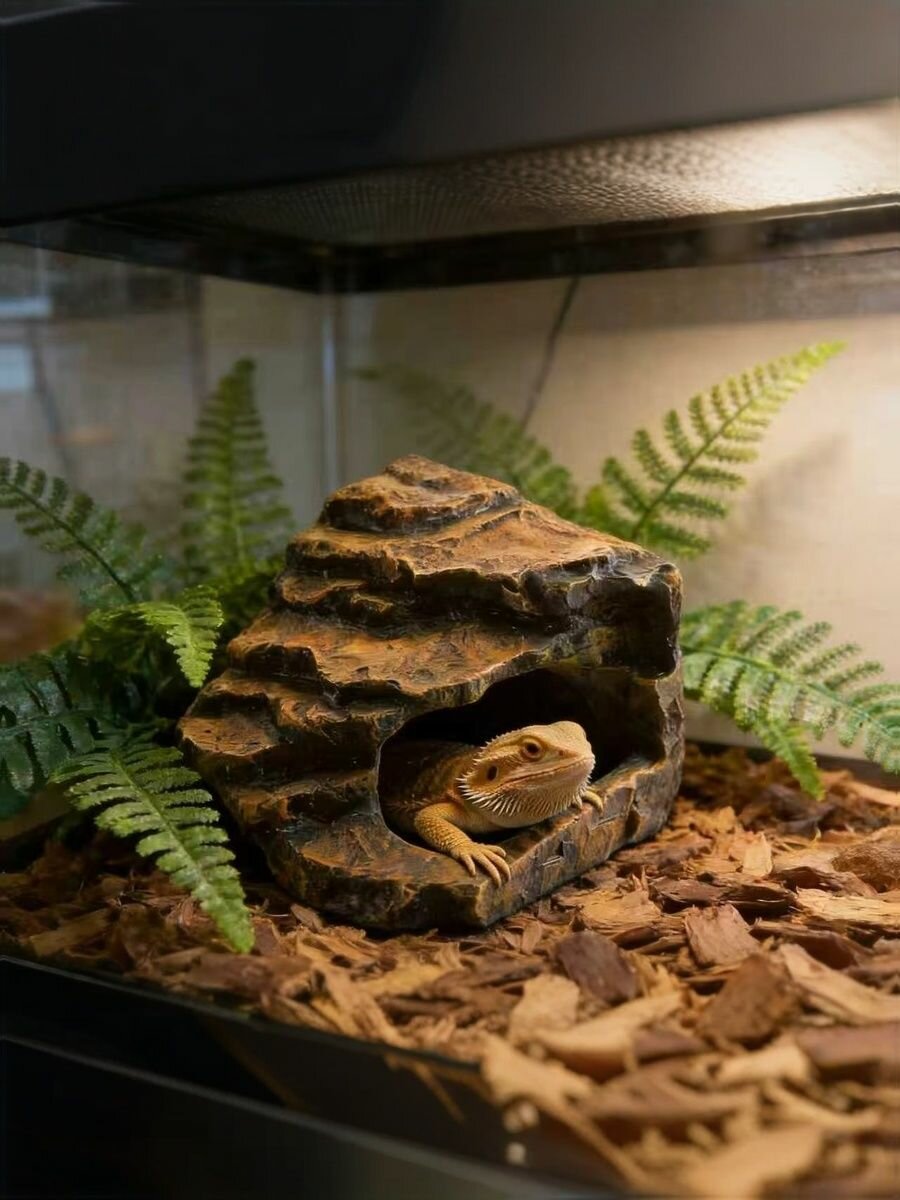 Угловое укрытие из камня, подходящее для террариумов, вольеров для рептилий, аквариумов для черепах и аквариумного ландшафтного дизайна. Размеры: 12,5 *12 *10 см. Количество: 1 штука.