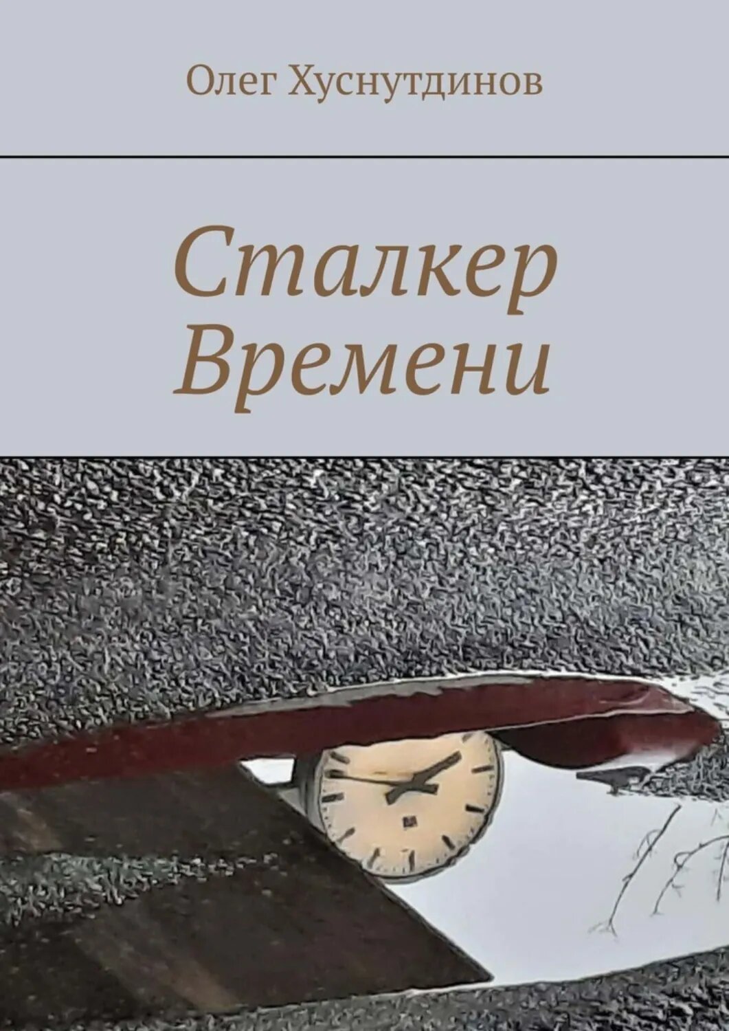 Сталкер Времени [Цифровая книга]