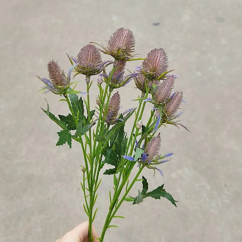 Искусственный цветок морской падуб RUYI Purple A