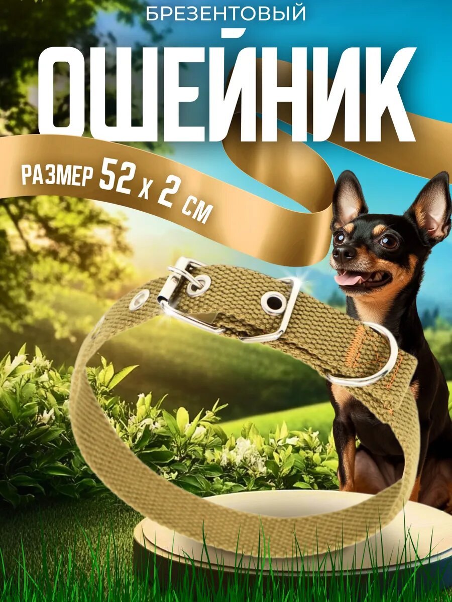 Ошейник Пижон, брезент, однослойный, универсальный, регулируемый, 52 х 2 см, песочный