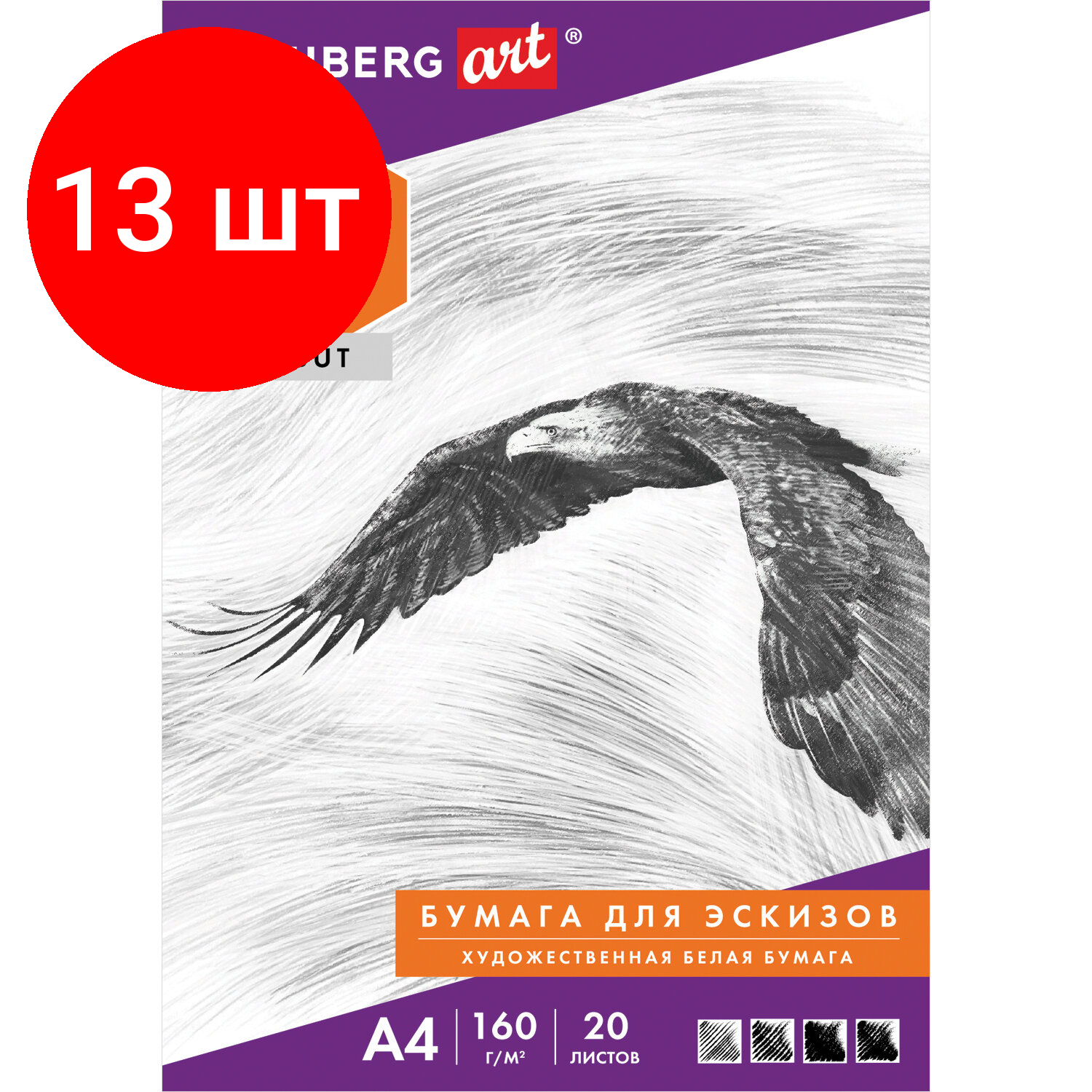 Комплект 13 шт, Папка для рисования А4, 20 л, 160 г/м2, BRAUBERG, 210х297 мм, "Орел", 125230