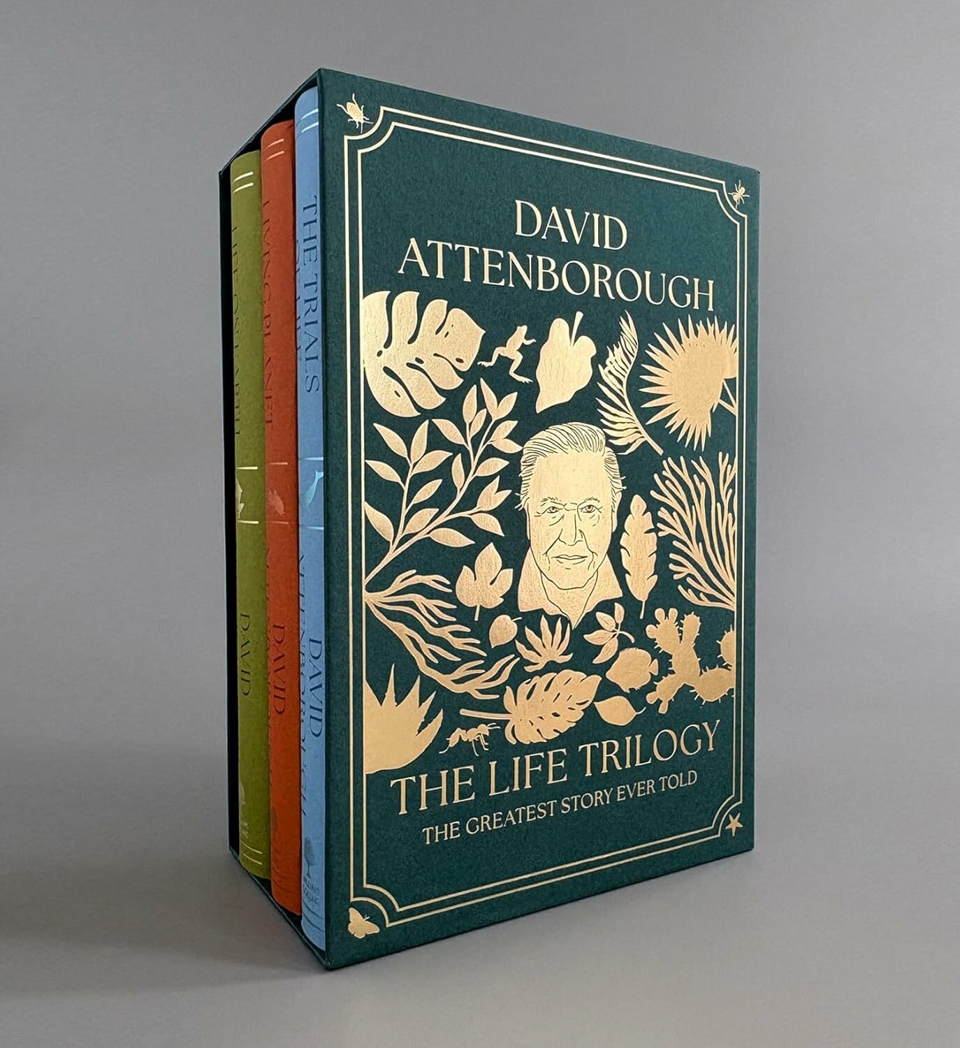 Набор книг на английском языке The Life Trilogy Boxset: The Greatest Story Ever Told