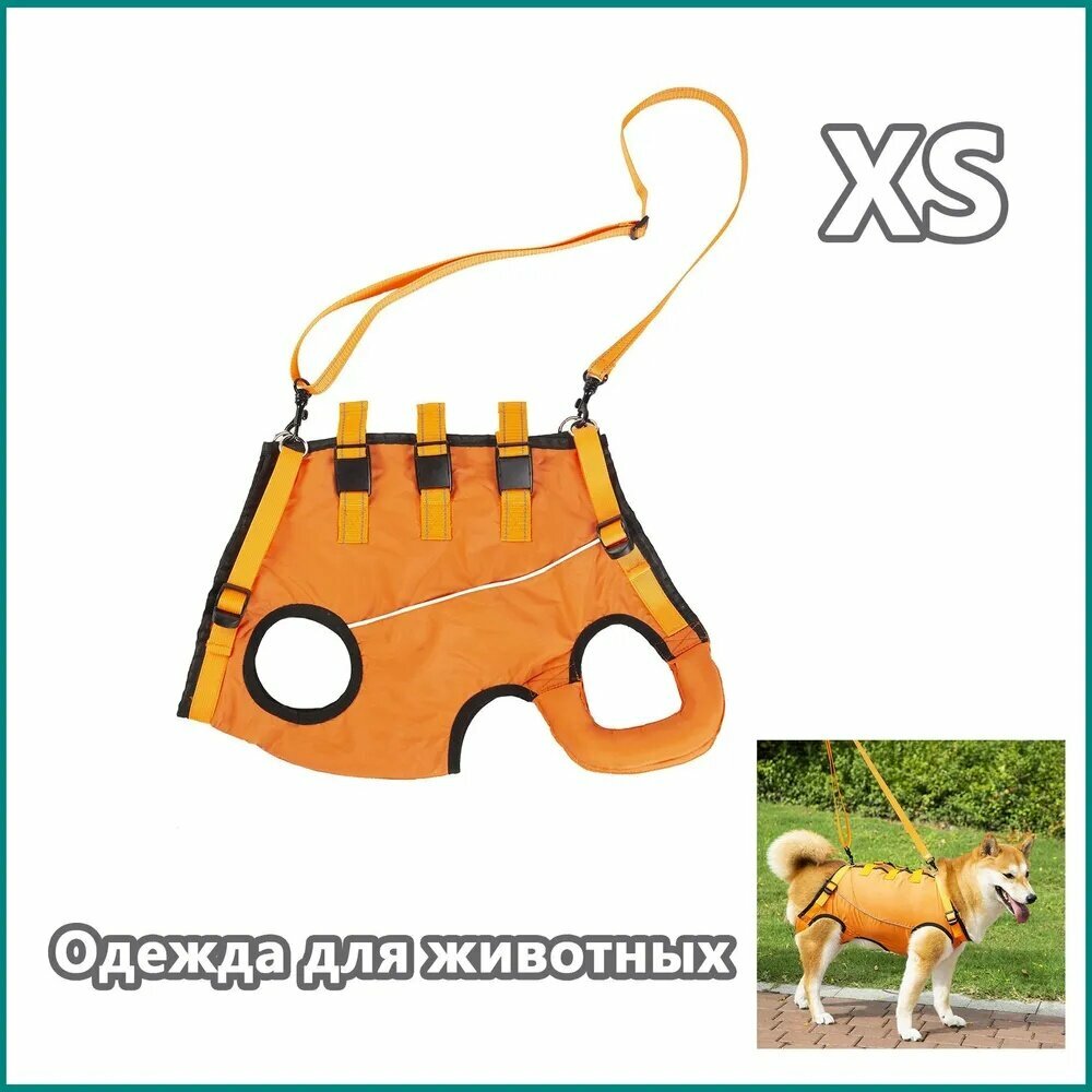 Полная поддержка для собак, Ходунки для пожилых и травмированных собак, Для кошек