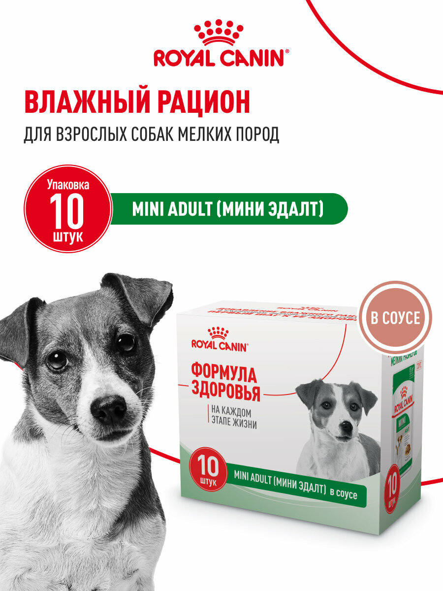 Влажный корм для собак Royal Canin Mini Adult кусочки в соусе, 10 шт по 85 г