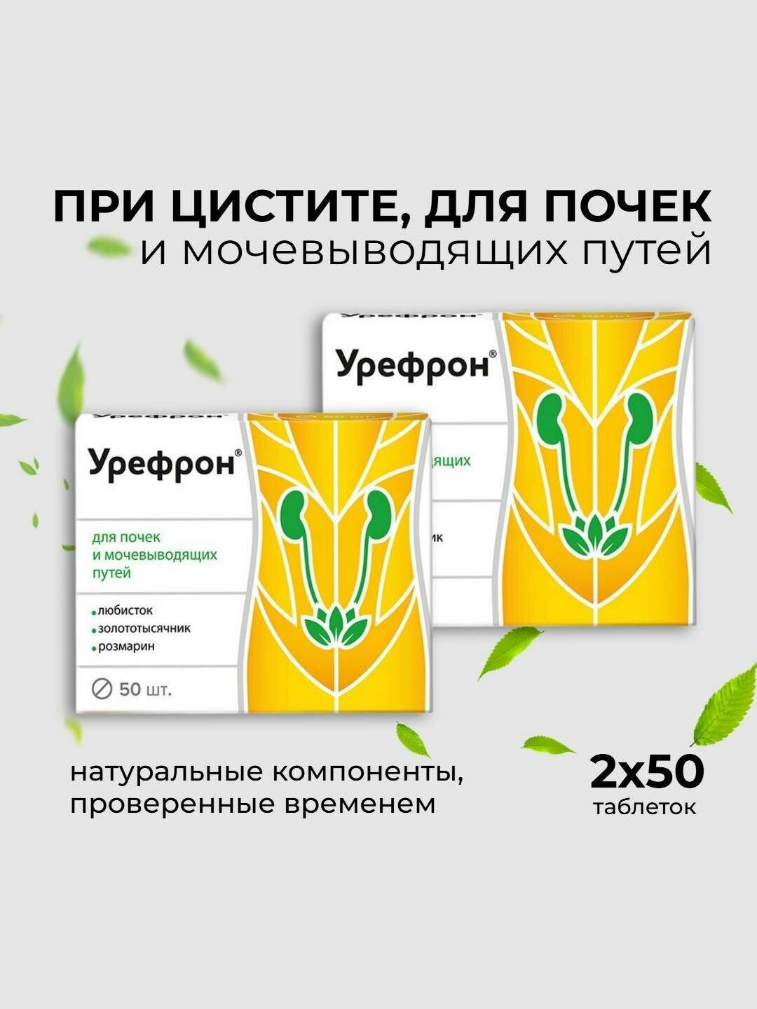 Урефрон таблетки при цистите и для почек, золототысячник, любисток, розмарин, 2 упаковки