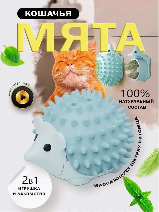 Игрушка для кошек палочки мататаби для зубов Кусалка