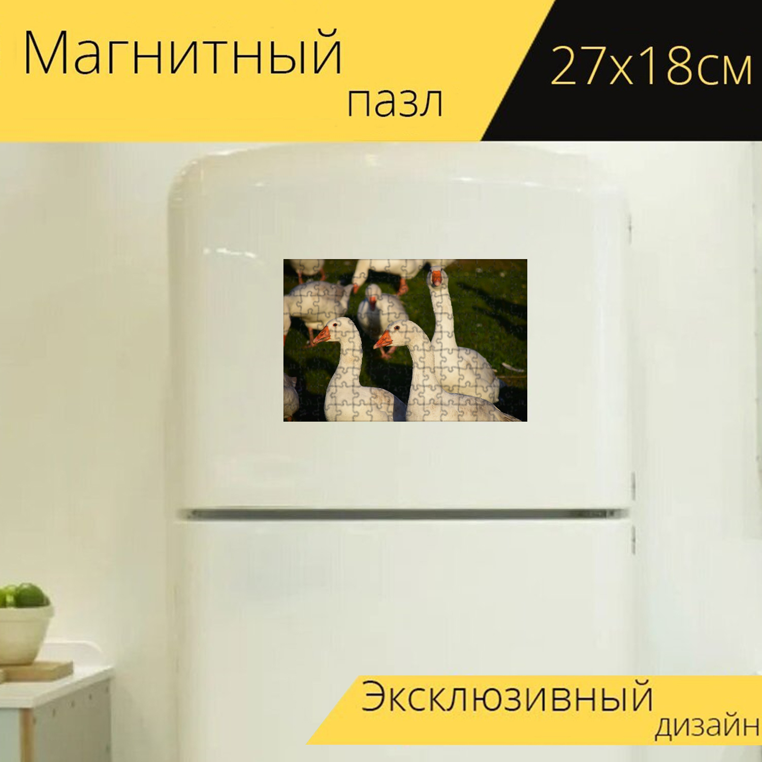 Магнитный пазл "Гуси, гусиная стая, домашние гуси" на холодильник 27 x 18 см.