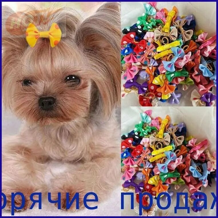 Украшение из резинок "Бант Йорки" для маленьких собак (набор из 50 штук)