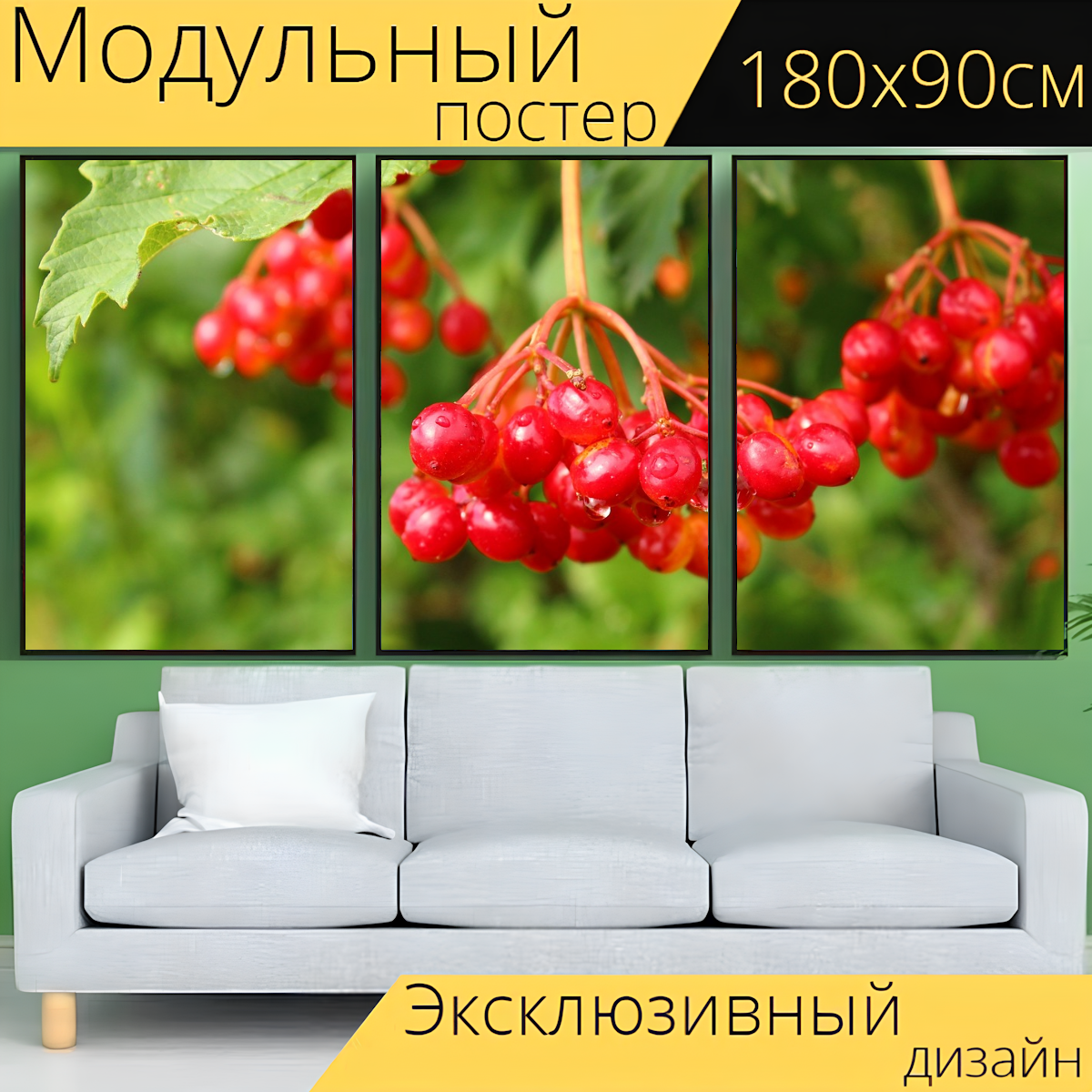 Модульный постер "Калина, ягода, плоды" 180 x 90 см. для интерьера на стену в тубусе