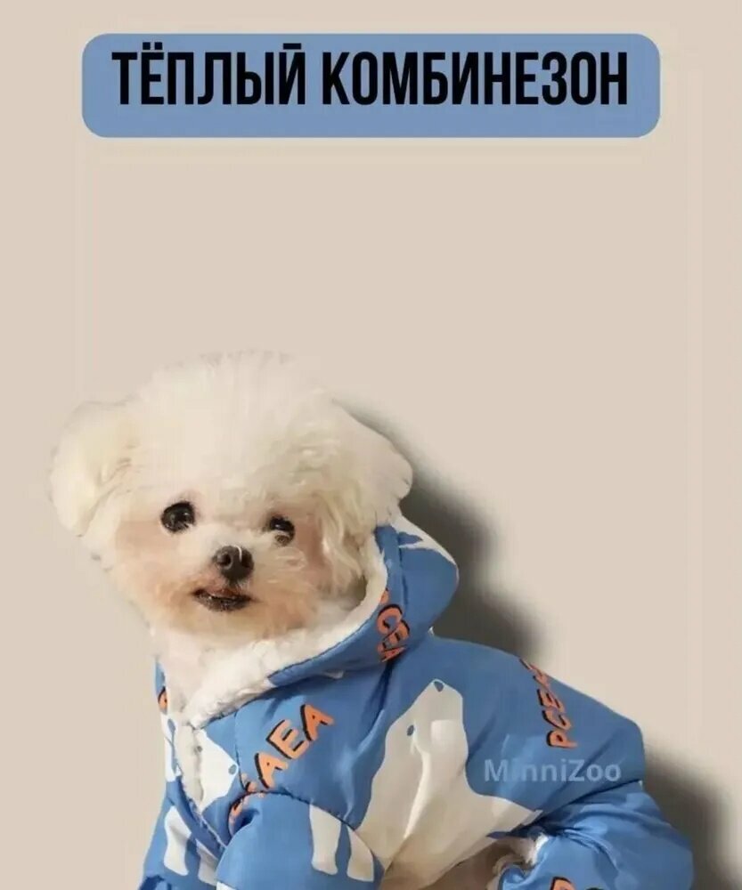 Одежда для животных