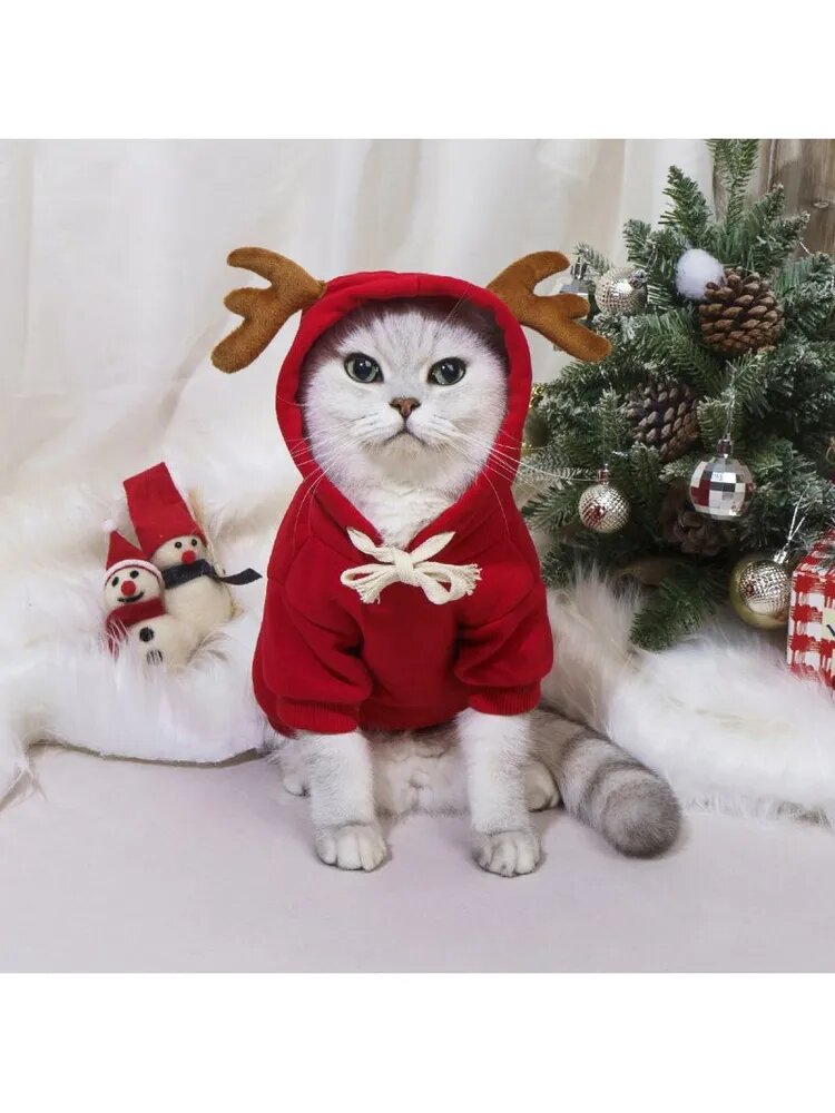 Новогодние костюмы для питомцев Подарите праздничное настроение!