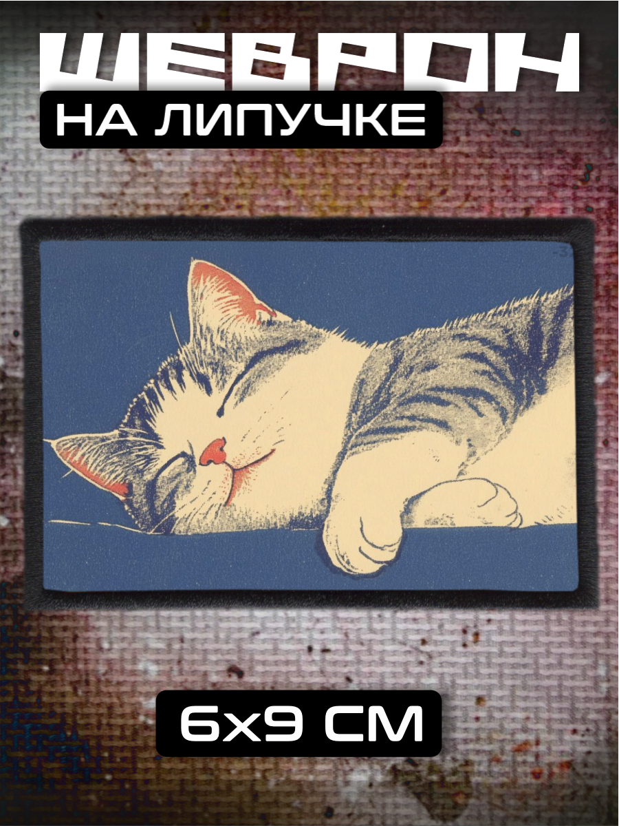 Шеврон на липучке Котик кот