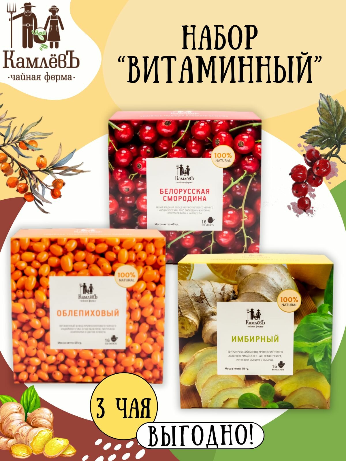 Подарочный набор чая в пакетиках "Витаминный", ассорти 48 штук от Чайная ферма КамлёвЪ