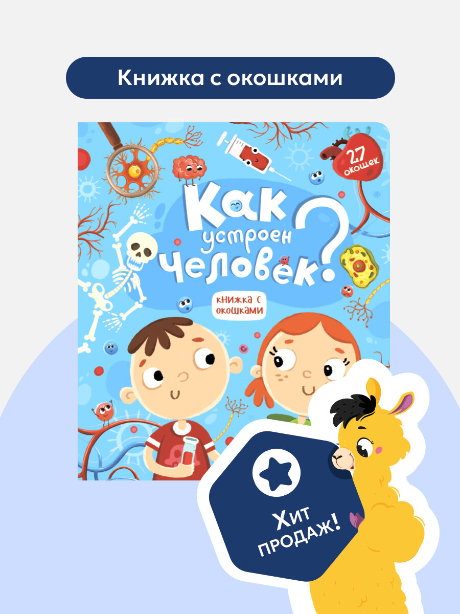 Книжка с окошками Как устроен человек? Анатомия Энциклопедия для детей