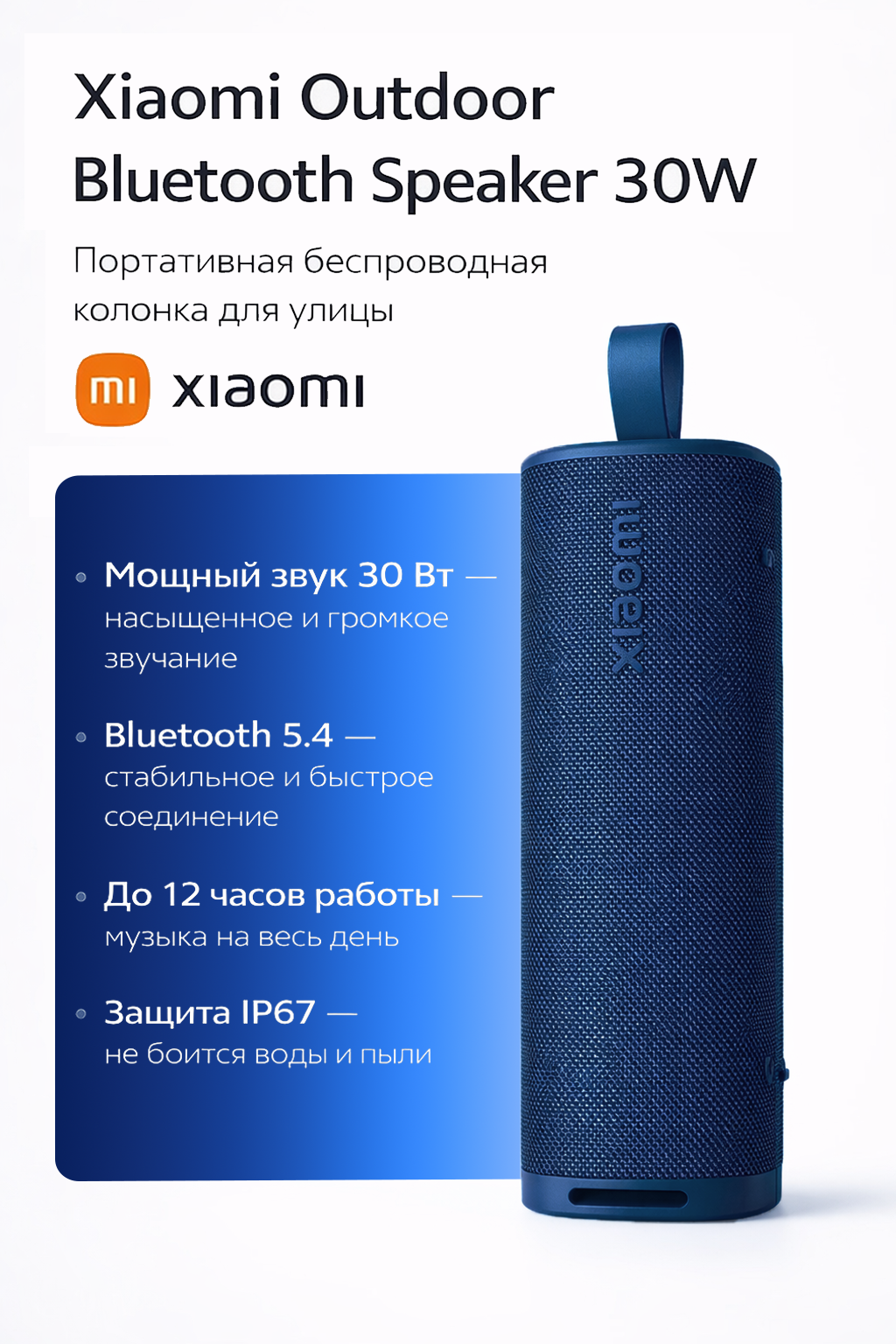 Портативная колонка Xiaomi Sound Outdoor S29D, 30 Вт, влагозащита IPX7, синяя (MDZ-38-DB)