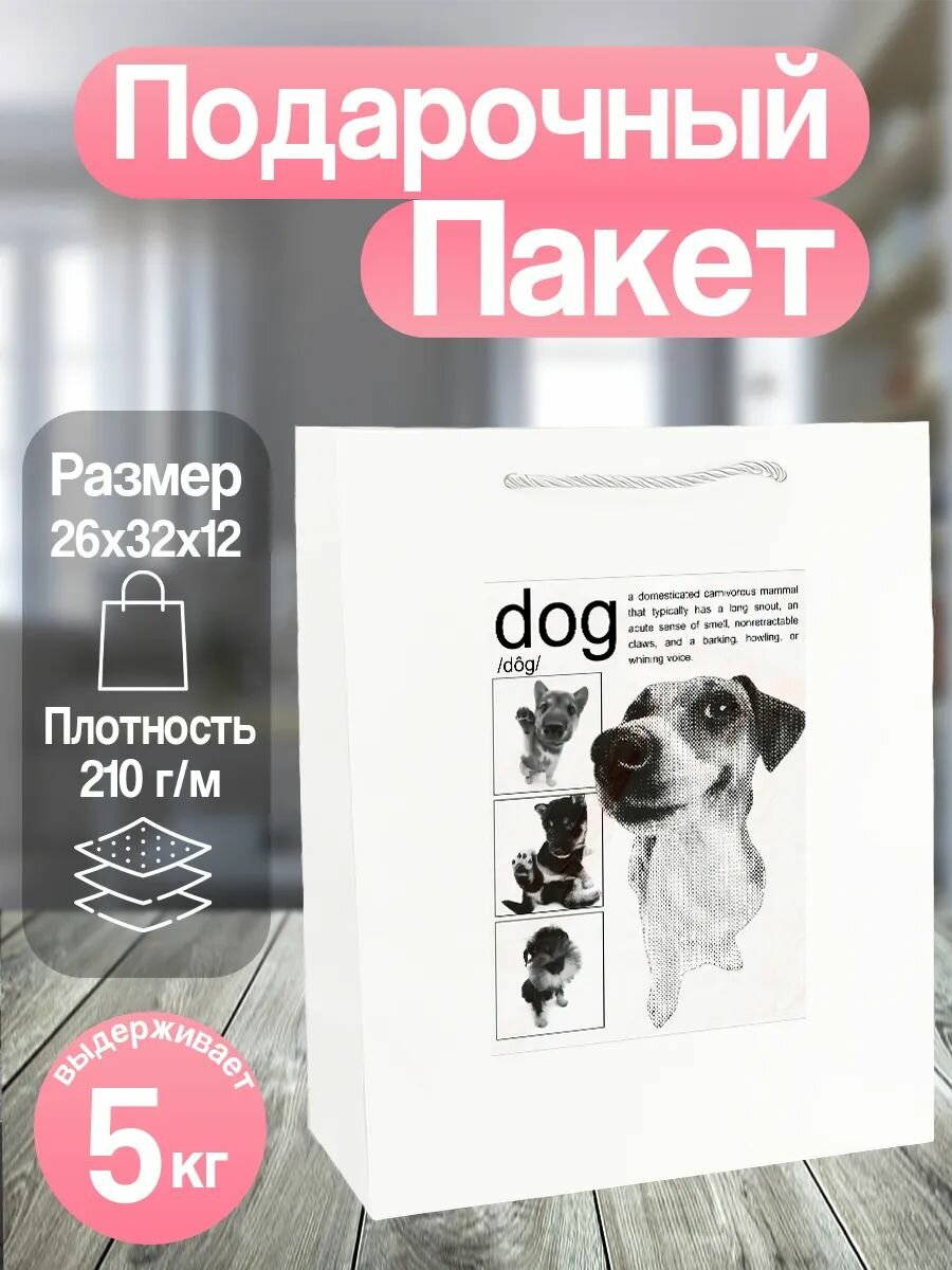 Пакет подарочный y2k pinterest, упаковка для подарка, 26х31 см
