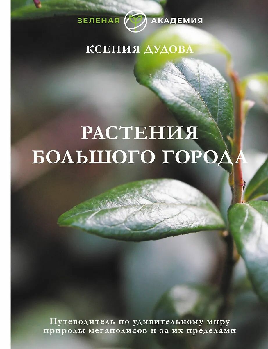 Путеводитель АСТ Растения большого города. по удивительному миру природы мегаполисов и за их пределами, Дудова К. В. 2025 г.