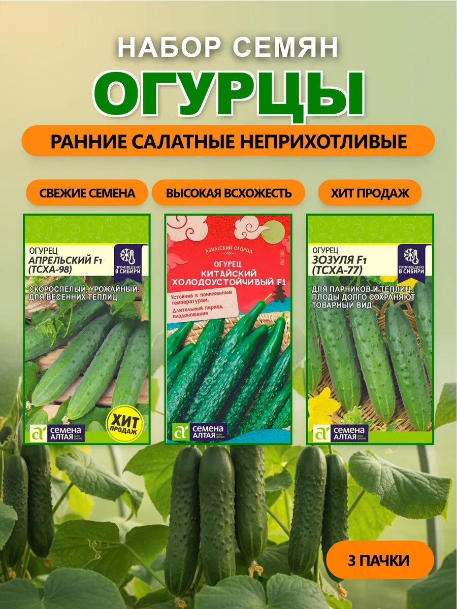 Набор семян огурцов ранние салатные неприхотливые сорта, 3 сорта