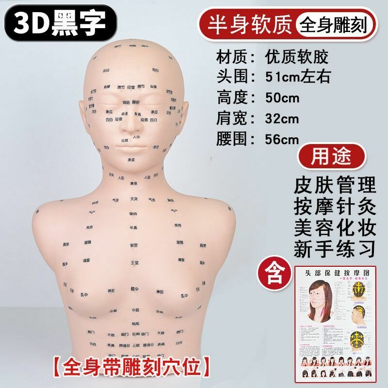 Манекен для ухода за кожей для салона красоты, для изучения техник массажа акупунктурных точек лица, лысая модель с плечами.