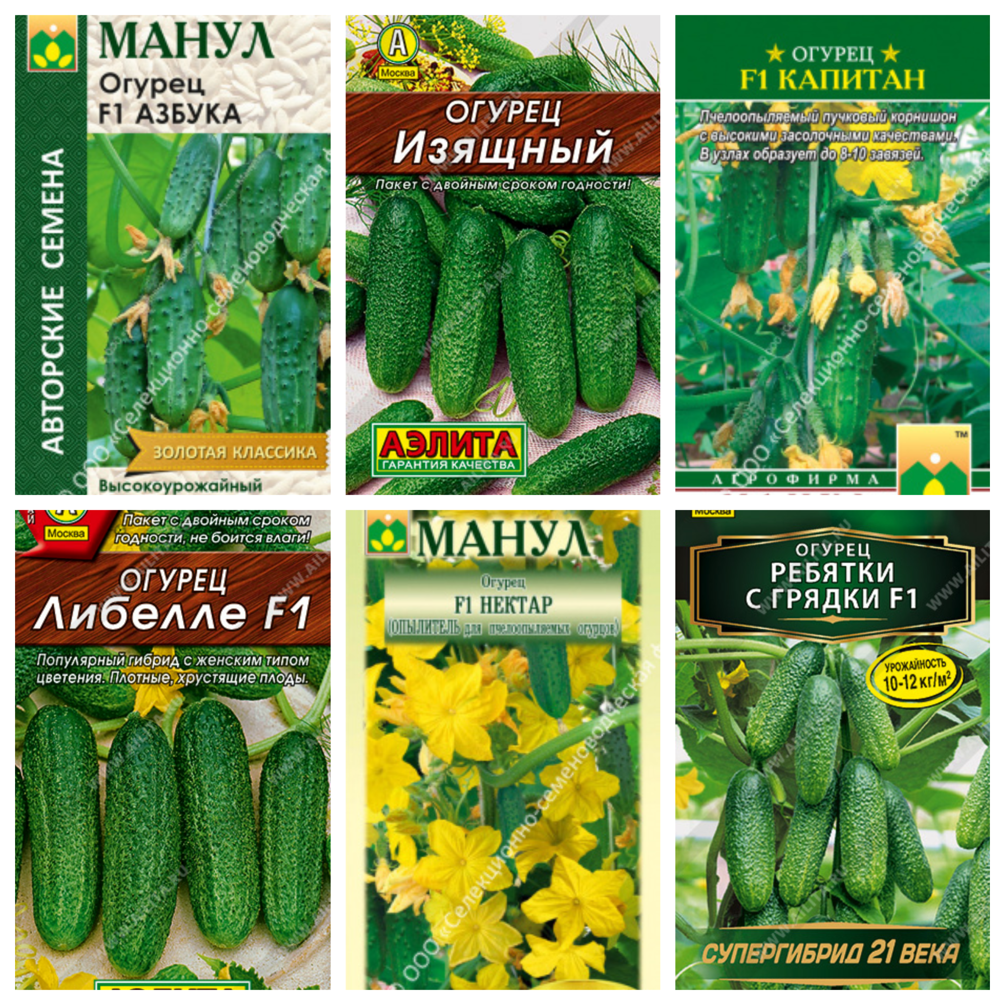 Набор семян огурцов "Открытый грунт"(Изящный, Либелле F1, Капитан F1, Нектар F1, Азбука F1, Ребятки с грядки F1)