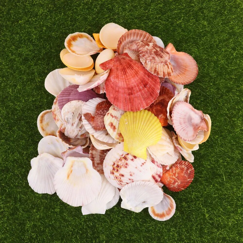 Морские ракушки для декорирования аквариума и создания фоторамок набор 250 г