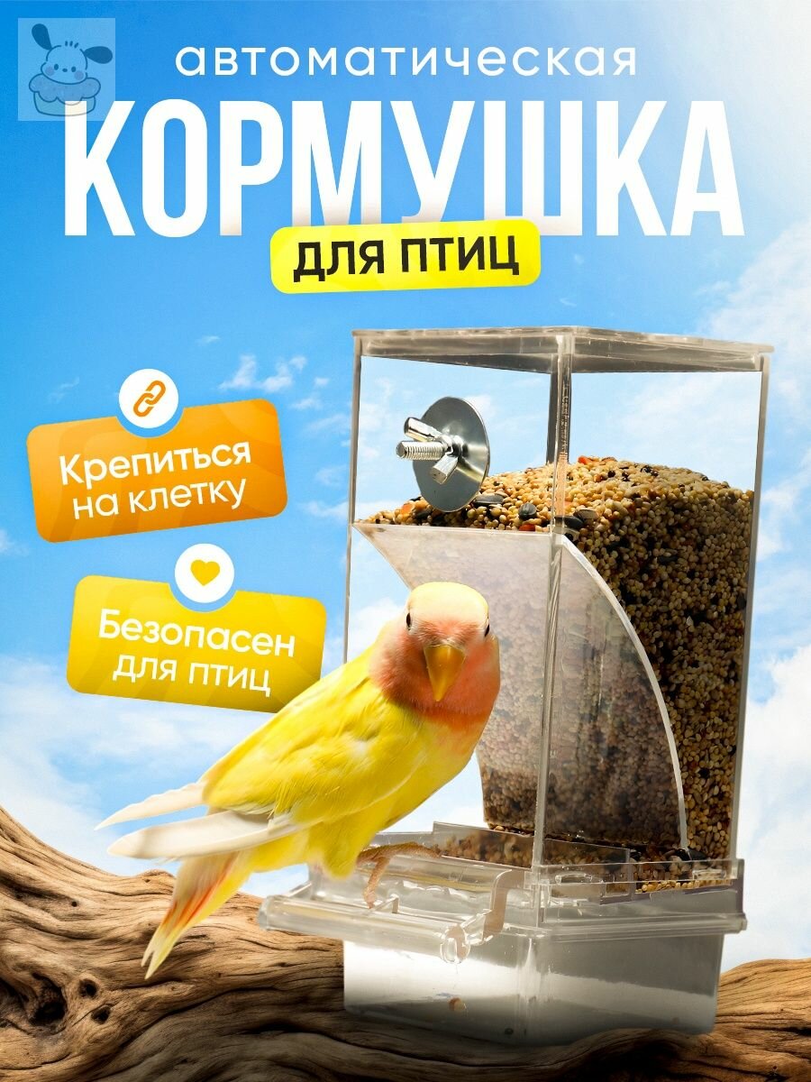 Кормушка для птиц, автоматическая / Кормушка для попугаев1