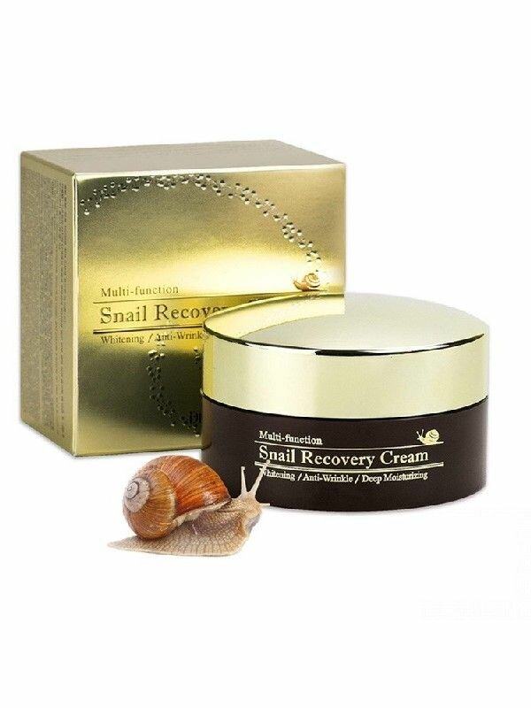 DEOPROCE Крем для лица восстанавливающий с экстрактом улитки Snail Recovery Cream, Корея, 100 г.