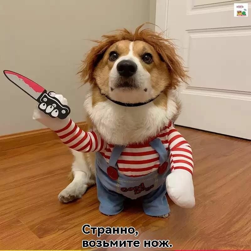 Забавный костюм супергероя для собак: мягкая мультяшная накидка корги, померанского шпица и мелких пород