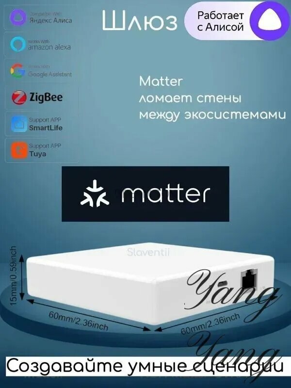 Умный проводной шлюз Matter THP10-Z-X