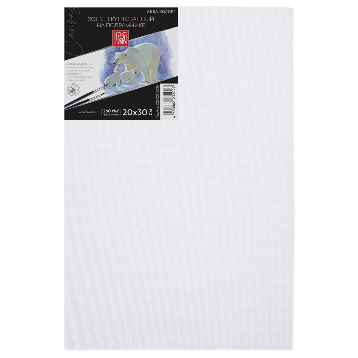 Аква-колор холст грунтованный на подрамнике Изостудия, 100% хлопок 260 г/кв. м, мелкозернистый, 20 х 30 см IZO-CGP-2030