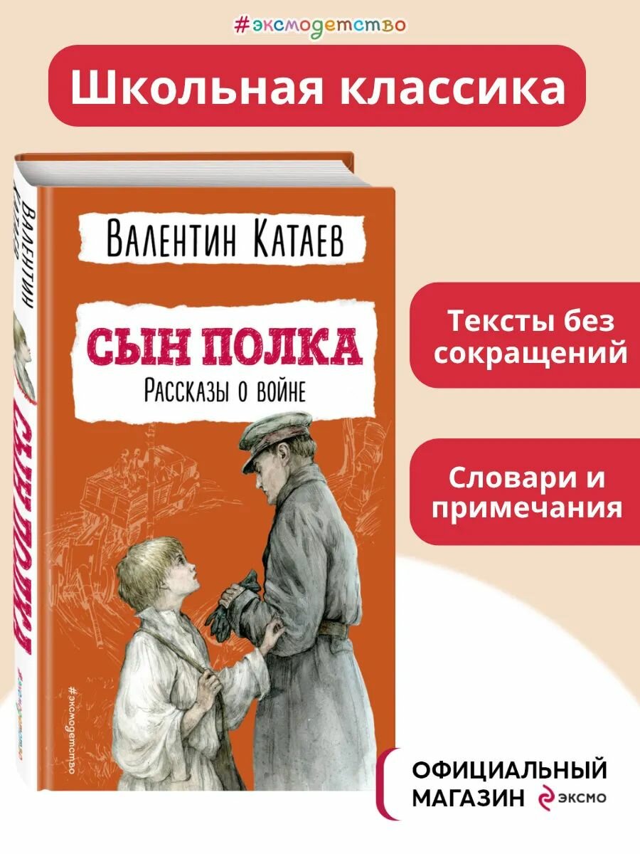 Сын полка. Рассказы о войне. Внеклассное чтение