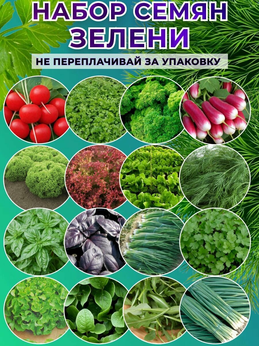 Набор семян зелени для Огорода (руккола, петрушка, кориандр, укроп, базилик, шпинат, салат) 16 упаковок