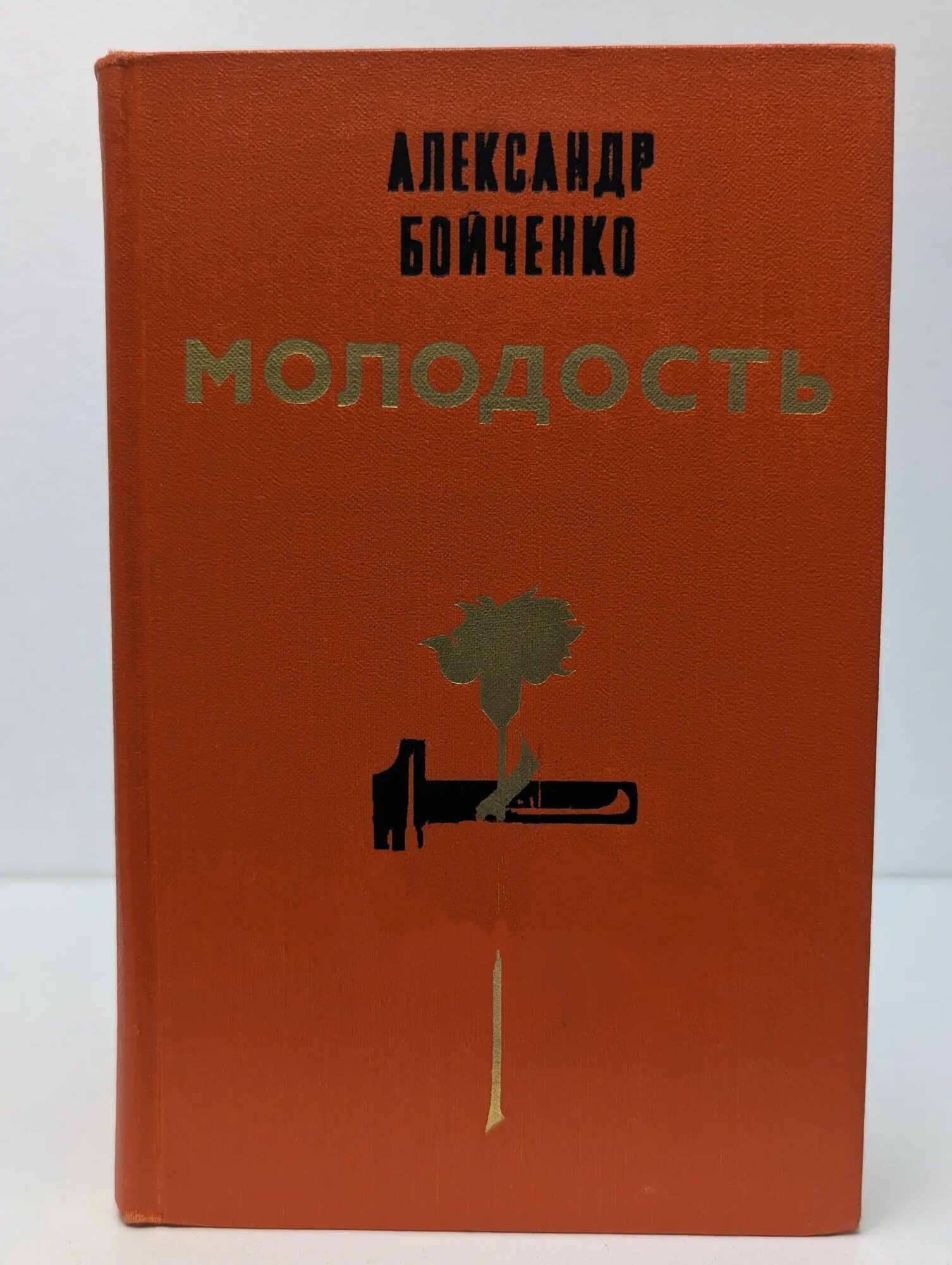Молодость Бойченко Александр Максимович 1978