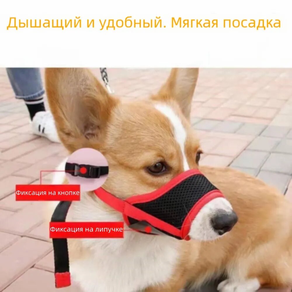 Намордник для собак мелких пород