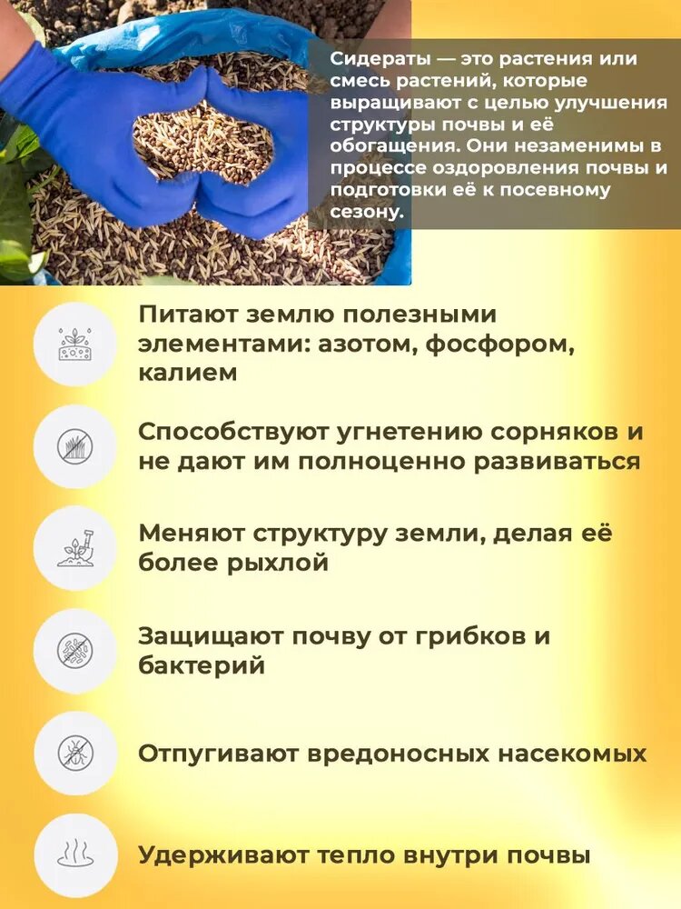 Горчица семена сидерат 5кг. — фото 1
