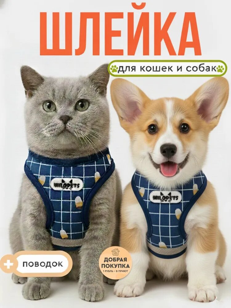 Шлейка для собак мелких пород и кошек MiloPets, с поводком, цвет бежевый