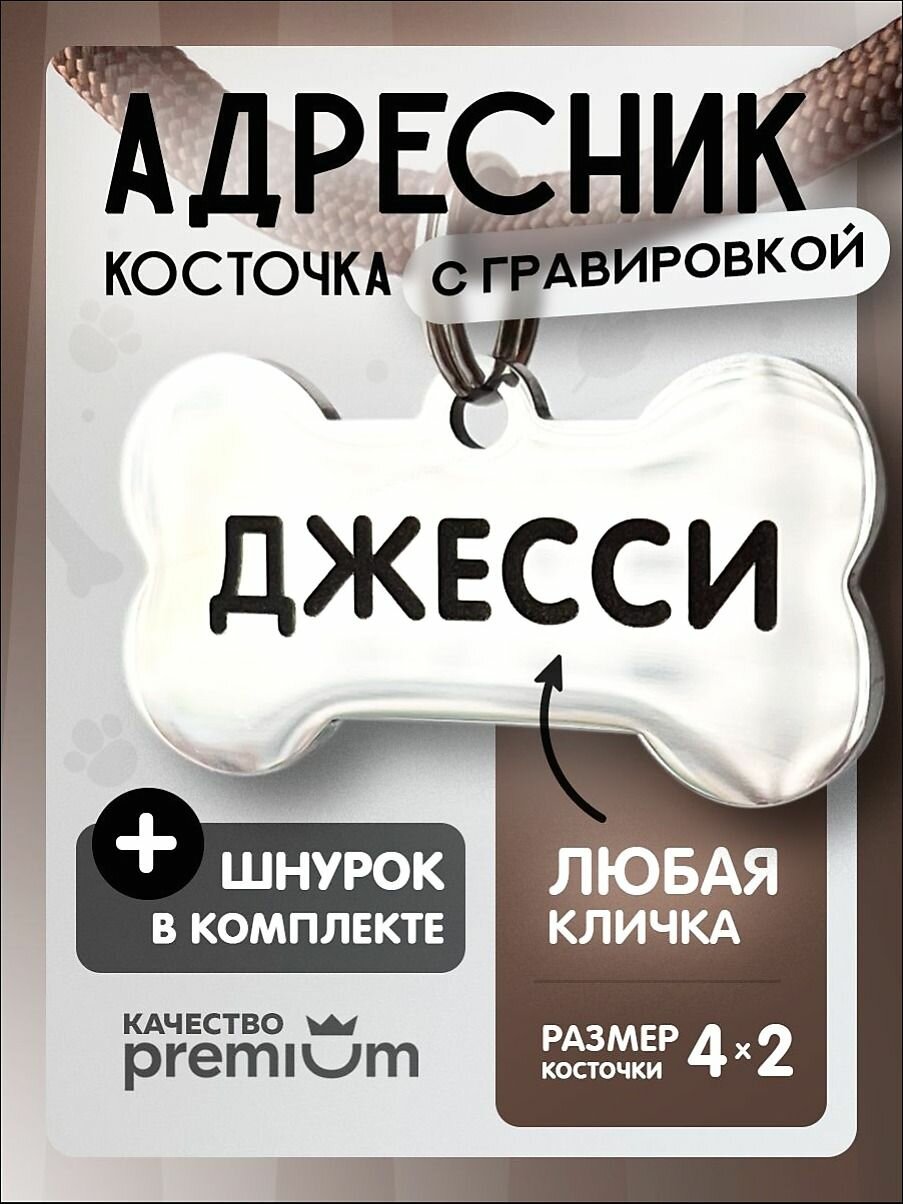 Адресник косточка для собак и кошек с гравировкой. Регулируемый шнурок, нержавеющая сталь, 40x20 мм. Чудолапки