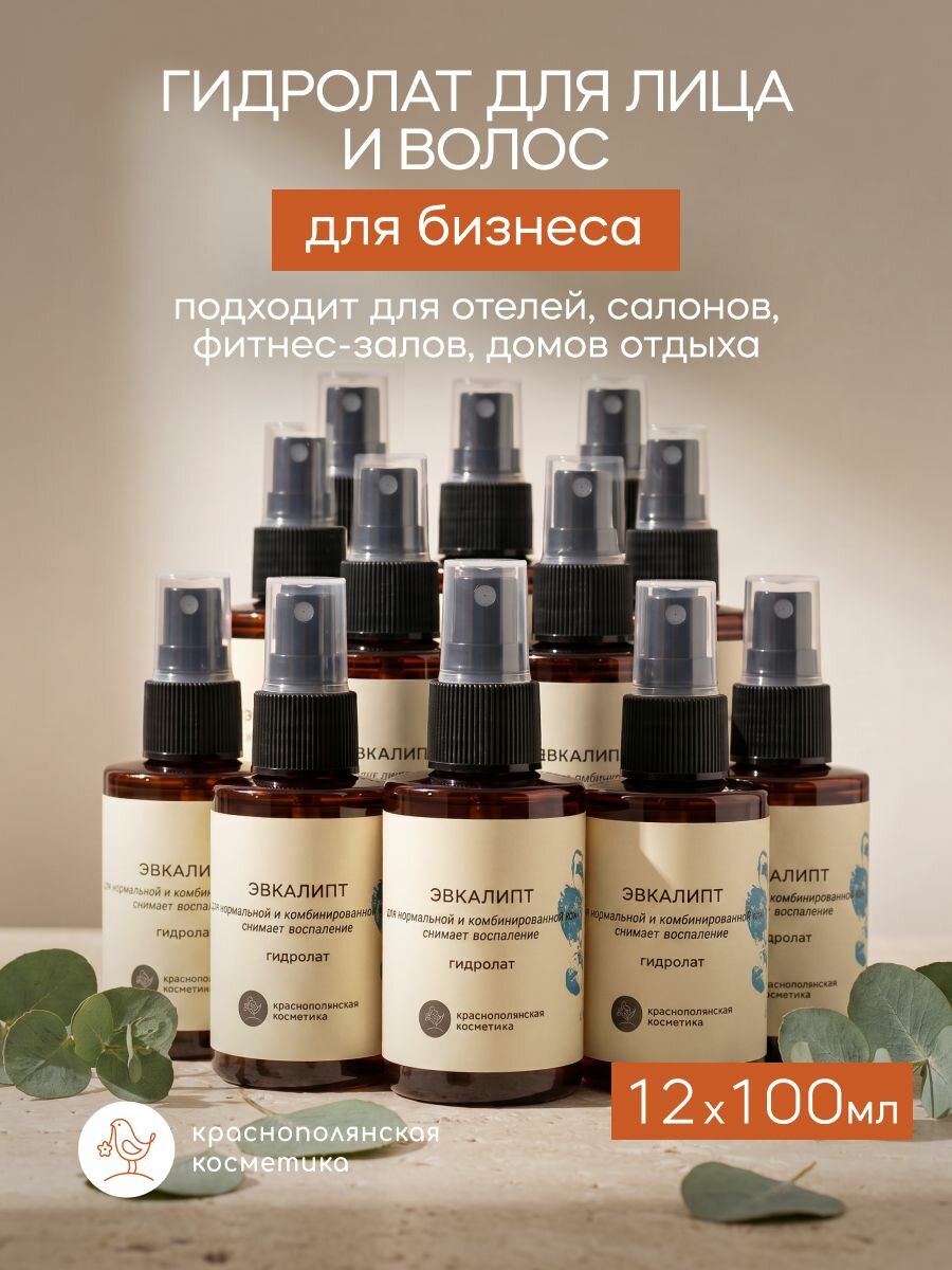 Краснополянская косметика Набор Спрей для тела, лица и волос, гидролат для лица и волос "Эвкалипт", для жирной и проблемной кожи, для бизнеса,100 мл, 12 шт. HoReCa