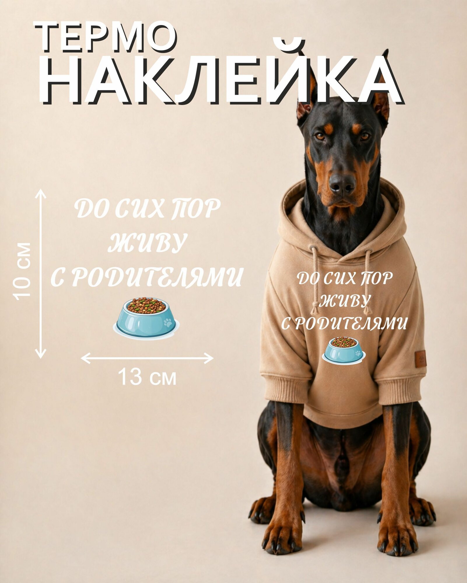 Термонаклейка на одежду / заплатка / надпись "До сих пор живу с родителями"