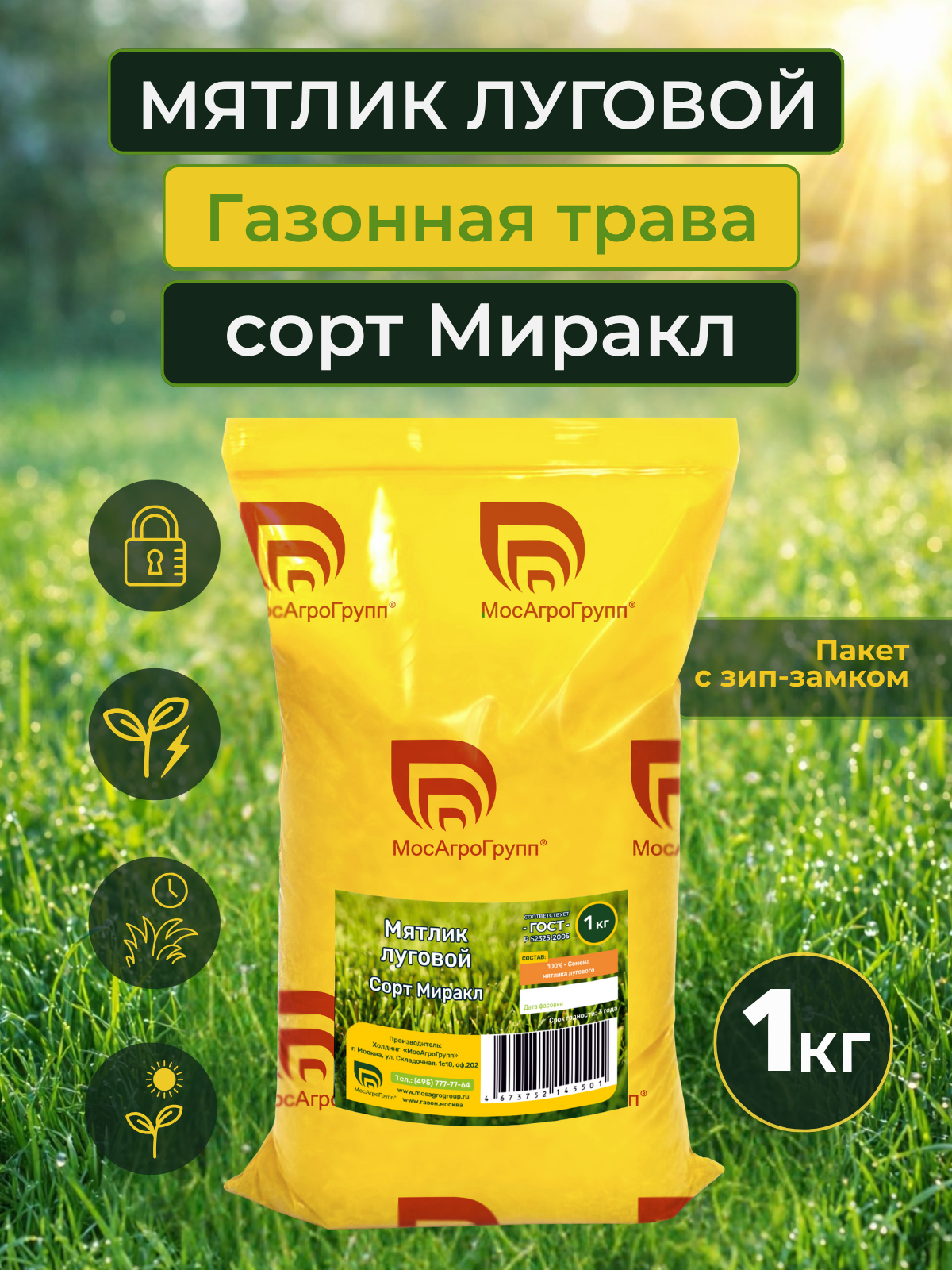 Семена мятлика лугового 1кг сорт Миракл Мосагрогрупп для газона