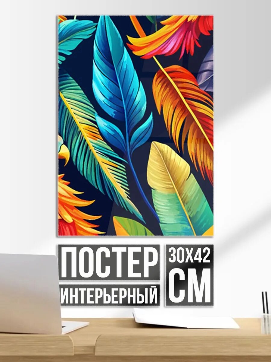 Постер на стену Пёстрые пёрышки попугаев
