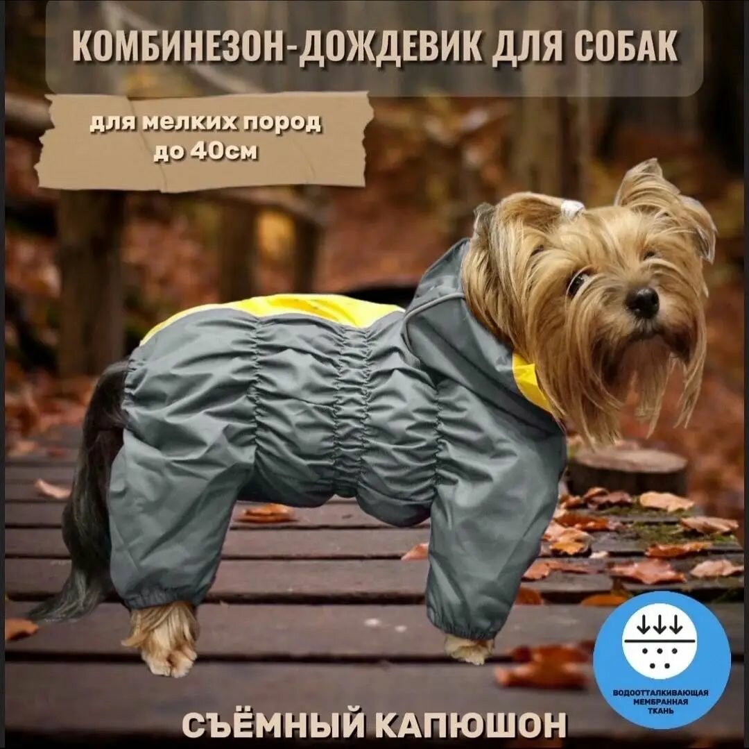 Комбинезон-дождевик "ZOO" со съемным капюшоном для собак мелких пород, серый, M-pd