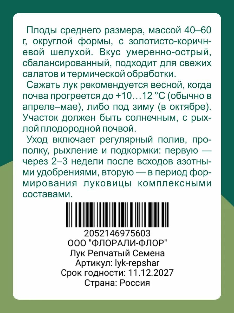 Лук Репчатый Семена — фото 1