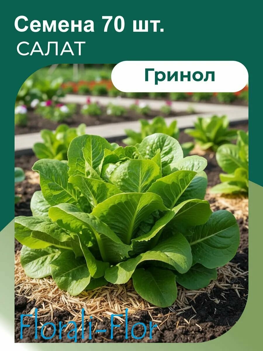 Салат Семена
