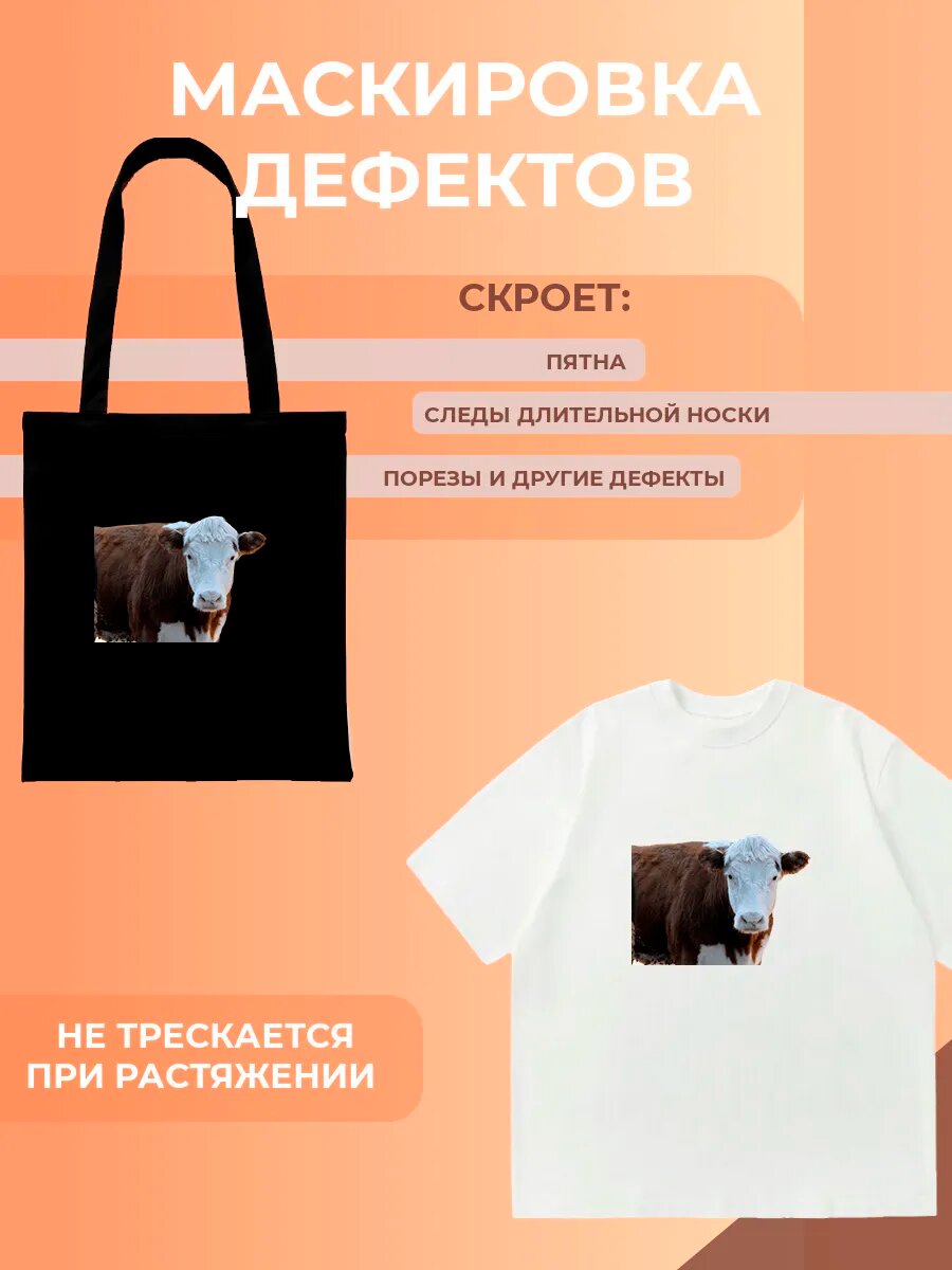 Термонаклейка на одежду — фото 1