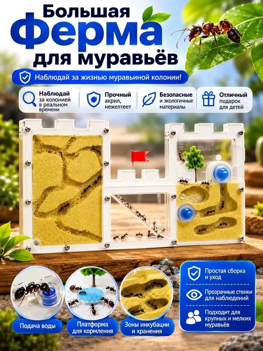 Прозрачная муравьиная ферма с песком для наблюдения за колонией 1 шт