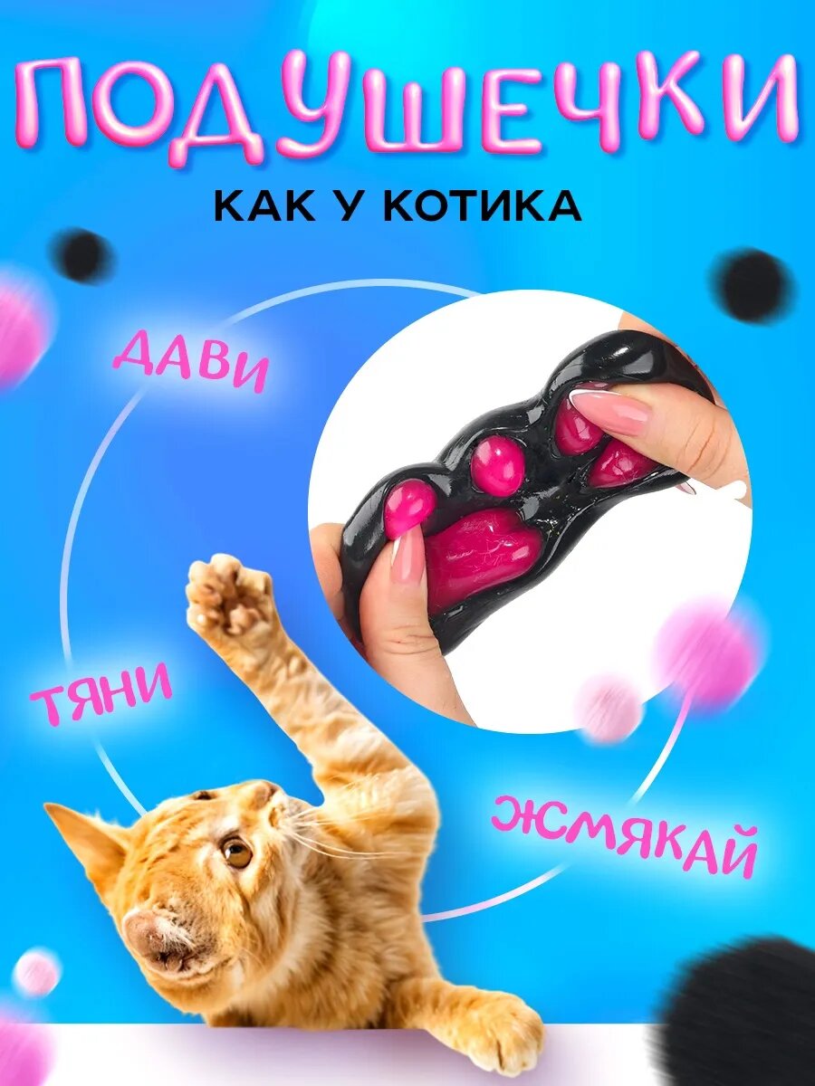 Сквиш Лапка — фото 1