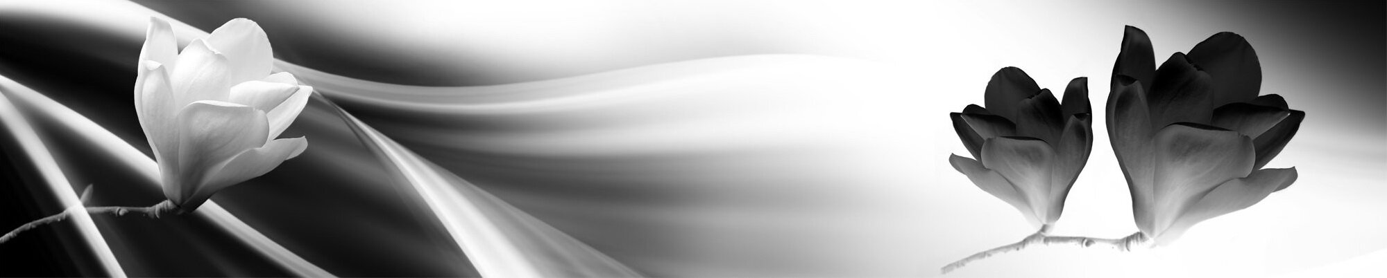 Кухонный фартук/стеновая панель МДФ для кухни 2800*600*6мм "Крокусы ЧБ"