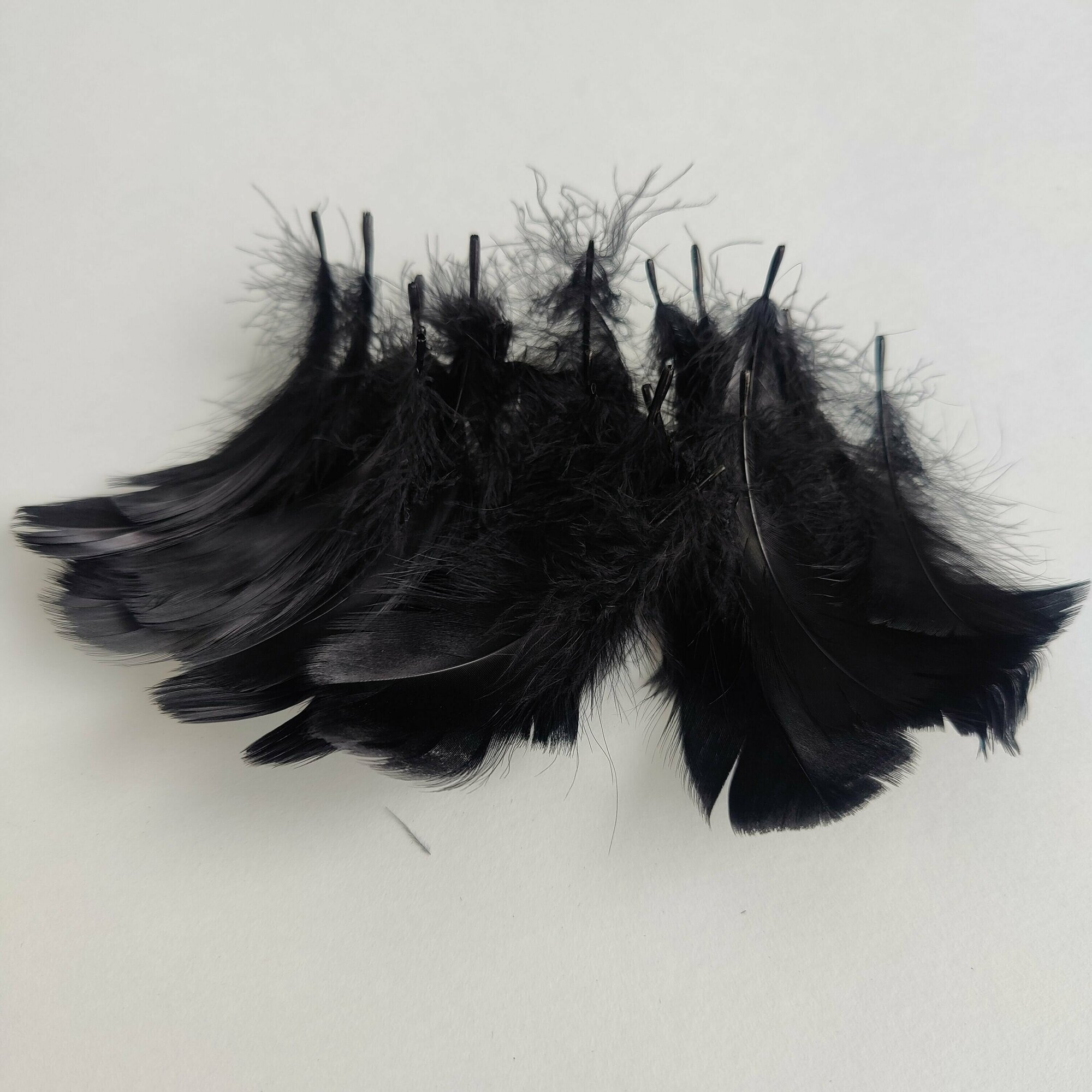 Перья декор чёрные №27, 100 штук