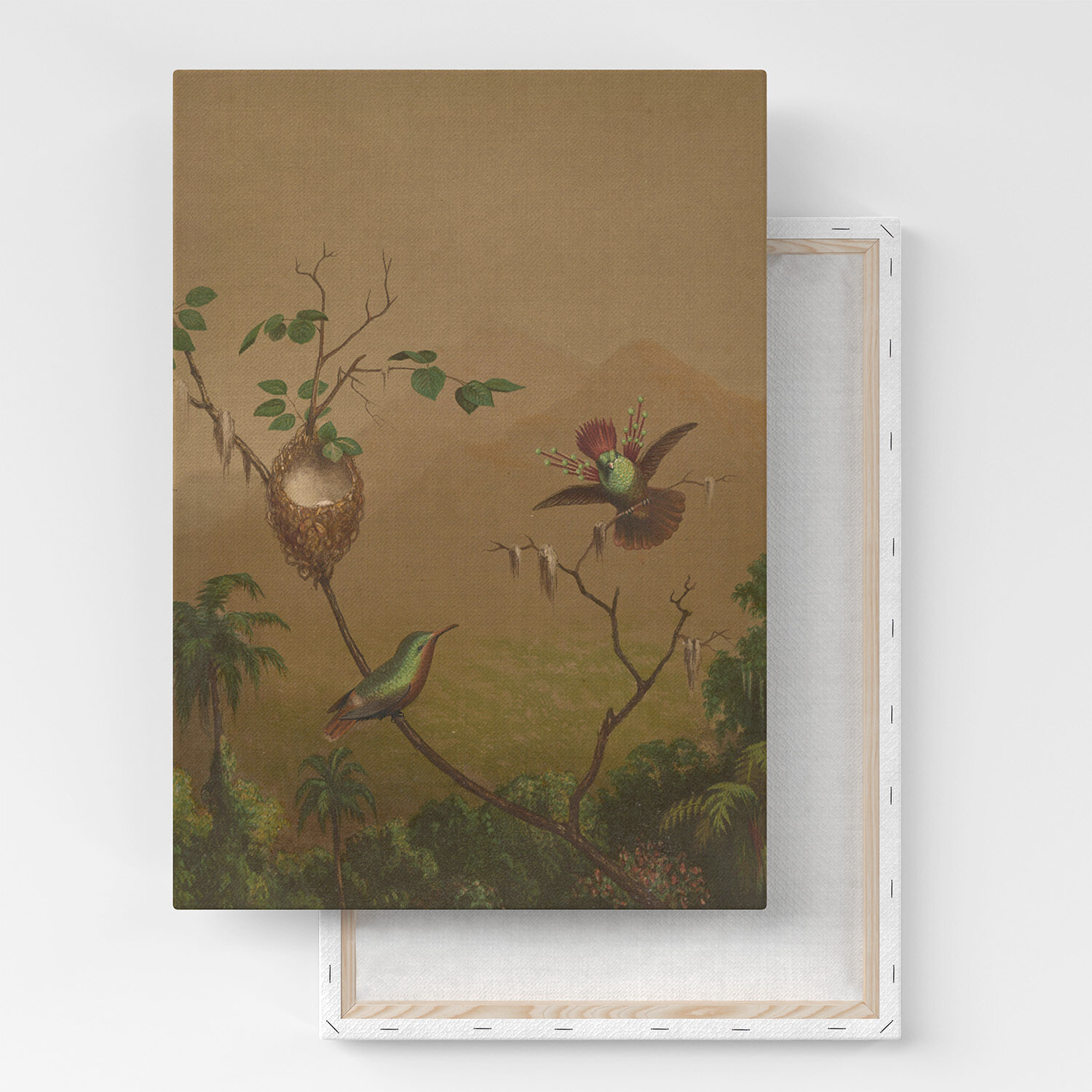 Картина на холсте, репродукция / Мартин Джонсон Хед - Brazilian Hummingbirds IV / Размер 80 x 106 см